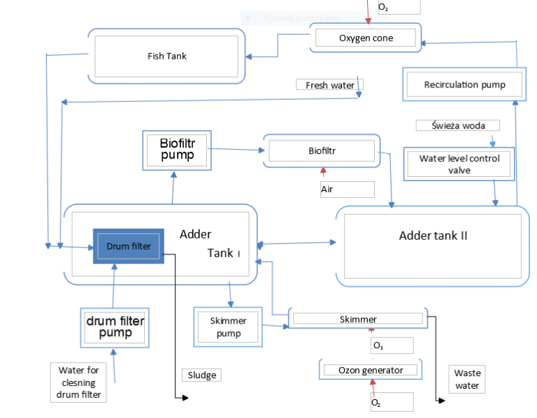 Recirculating aquaculture systems (RAS) in fish farming